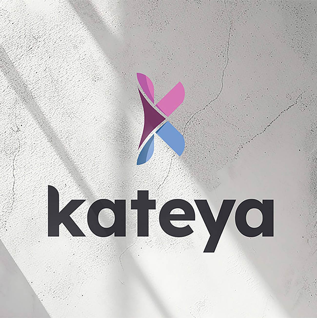 KATEYA • TYDAM • GRAPHISME BRANDING